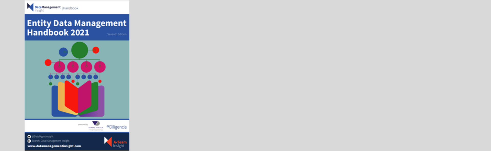 Entity Data Management Handbook 2021
