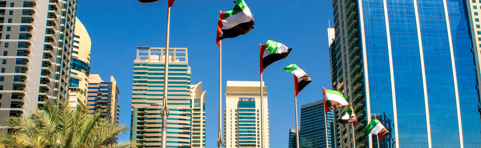 Market-mapping: understanding the SME landscape in the UAE